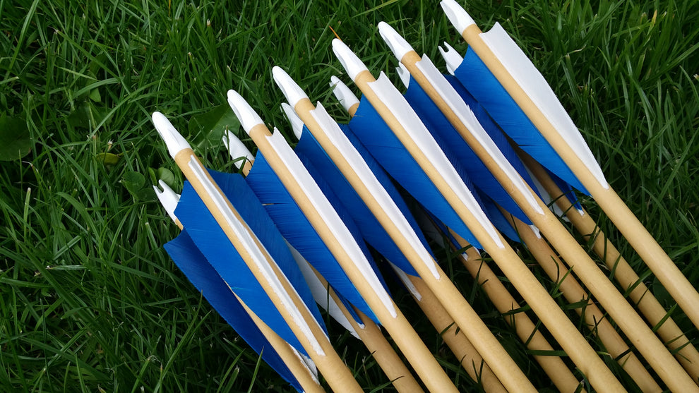 Standard Arrows - 1 Dozen – Eagle Archery