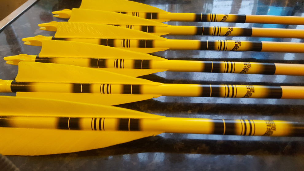 Premium Arrows - 1 Dozen – Eagle Archery